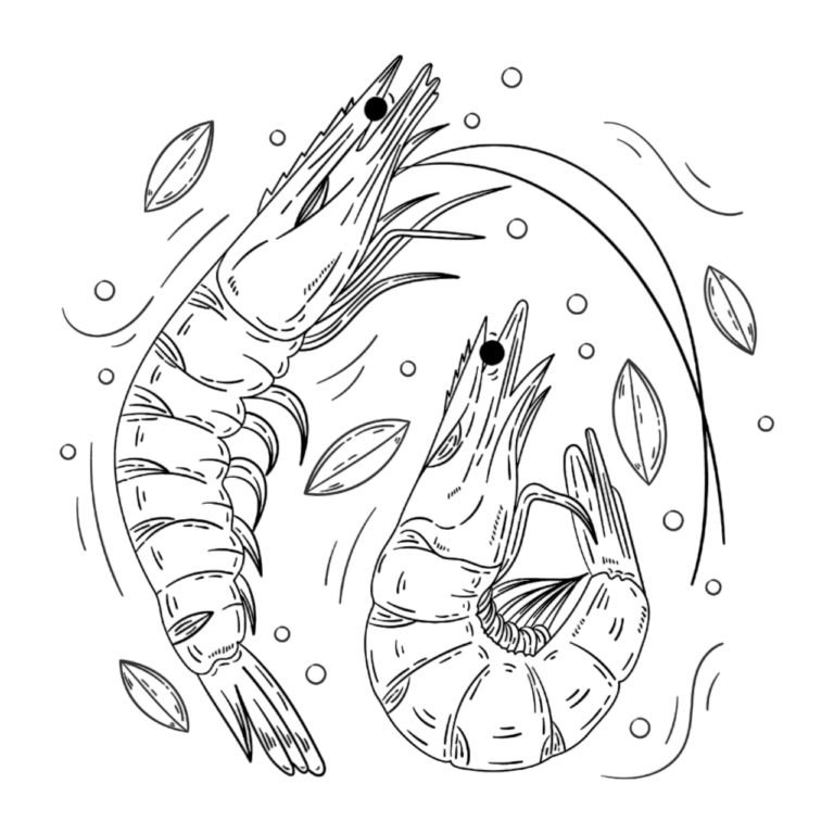 GEM Foods International Inc.